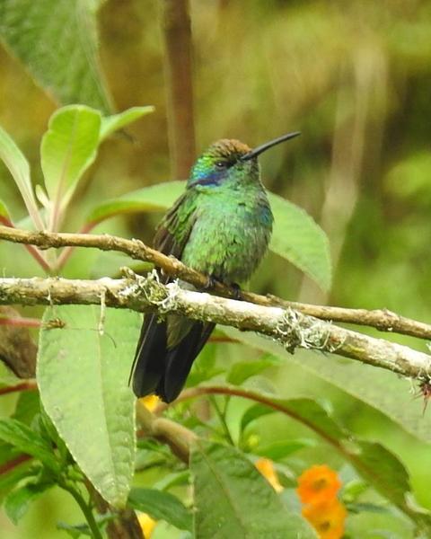 BirdsEye Photography: Review Photos